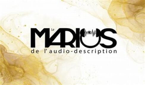 Notre Présidente à la 8ème cérémonie du Marius de l'audiodescription ...